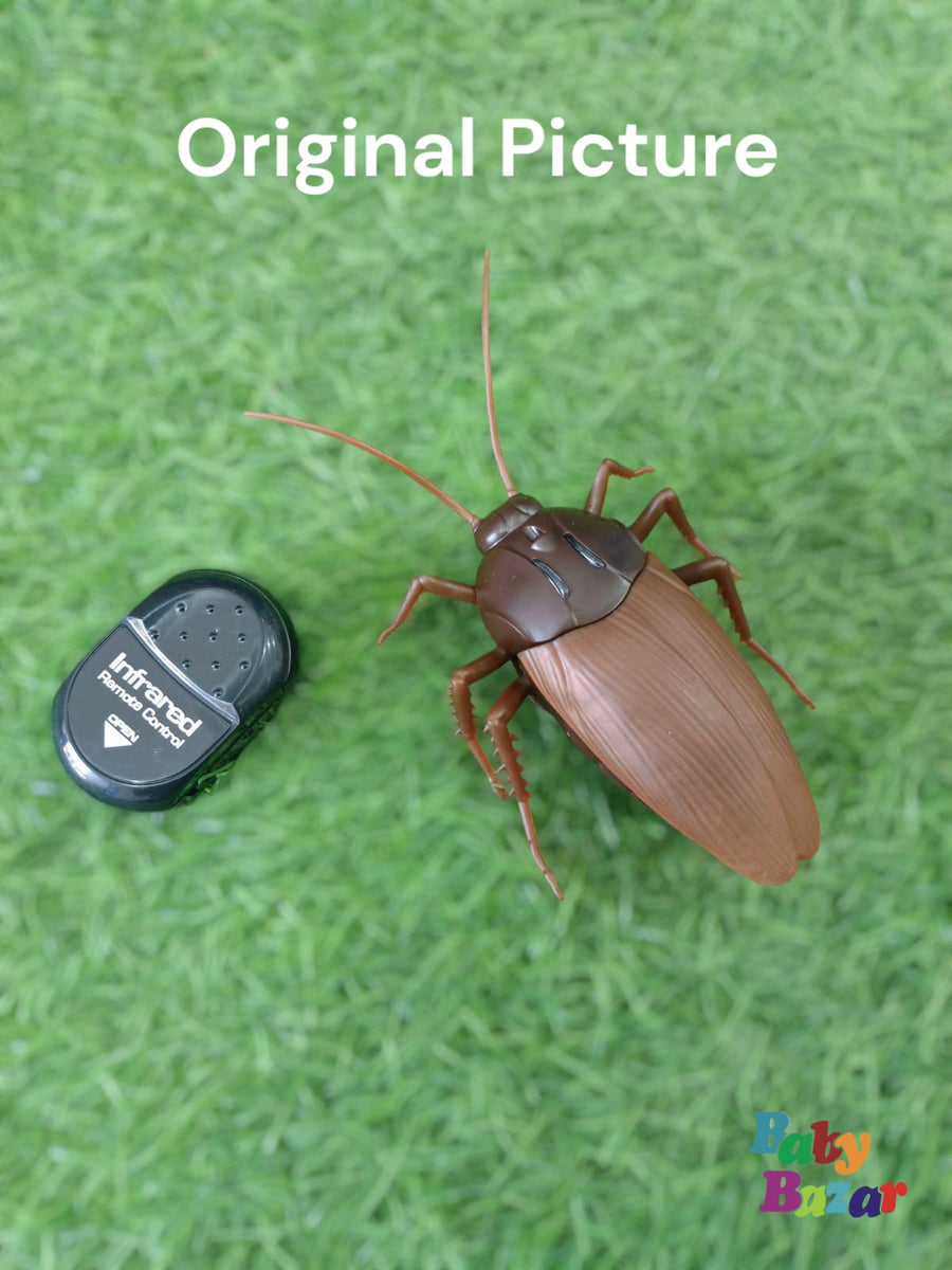 Remote Control Giant Roach Toy Fun & Realistic Crawling baby - bazar ...